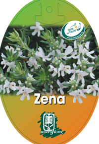 Westringia fruticosa Zena | Wholesale Nursery - Nurseries in Melbourne ...